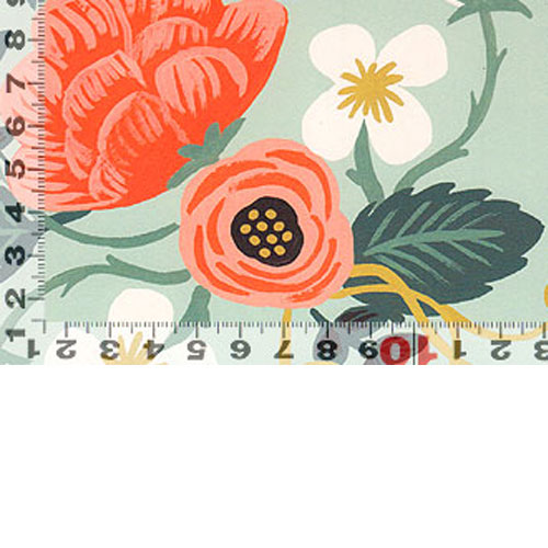 49.5×68.5cm サイズ